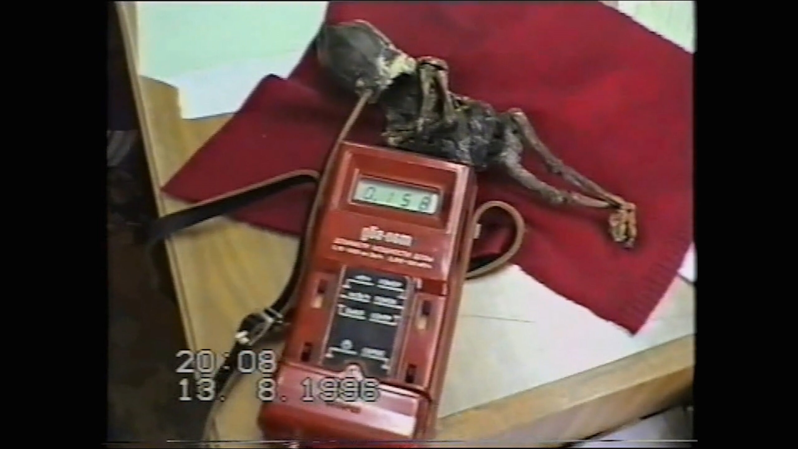 FFD | Review | Object 817