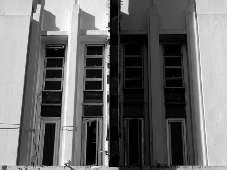 FFD | goodbye cinema